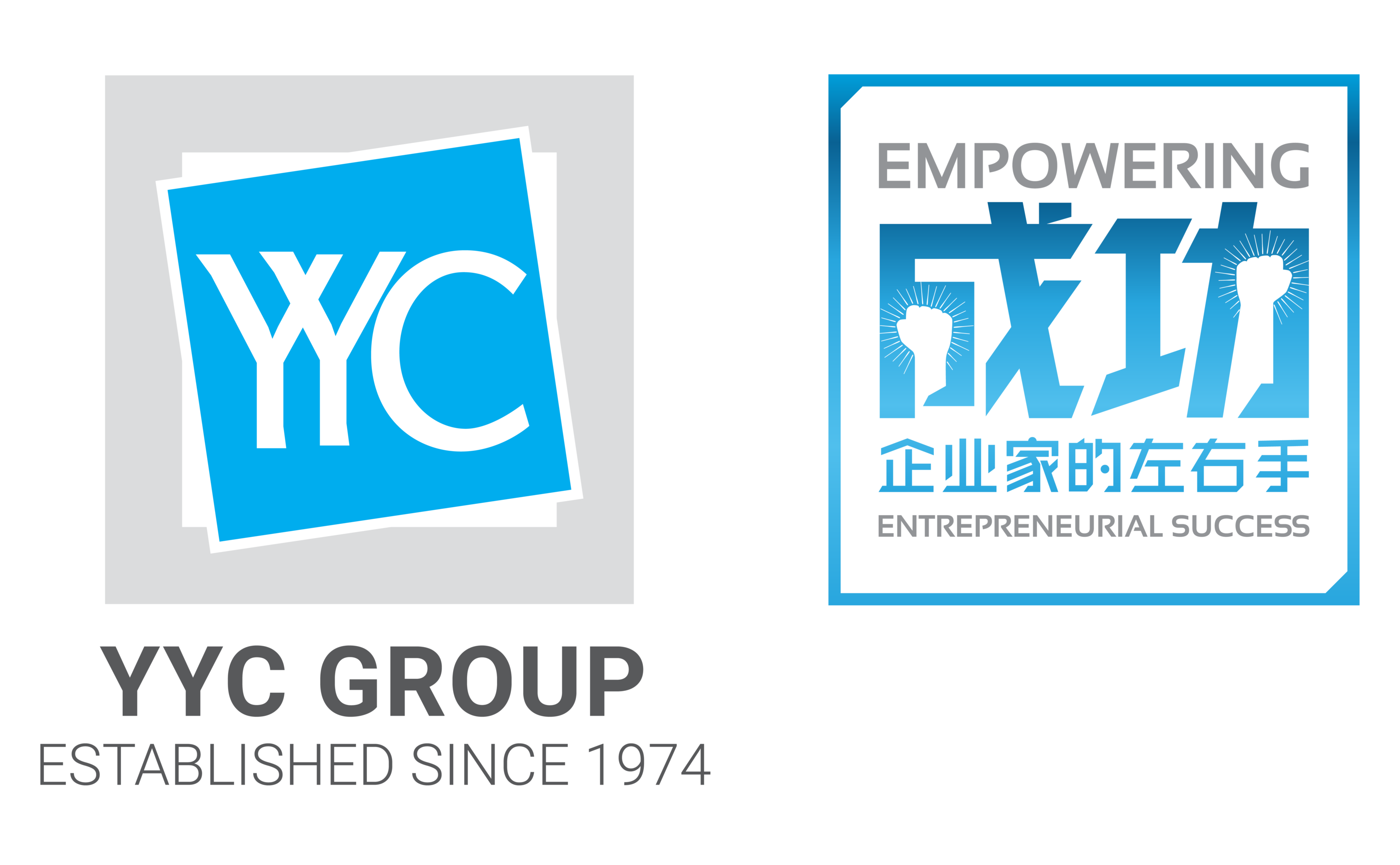 Transfer Pricing DIY Online Course